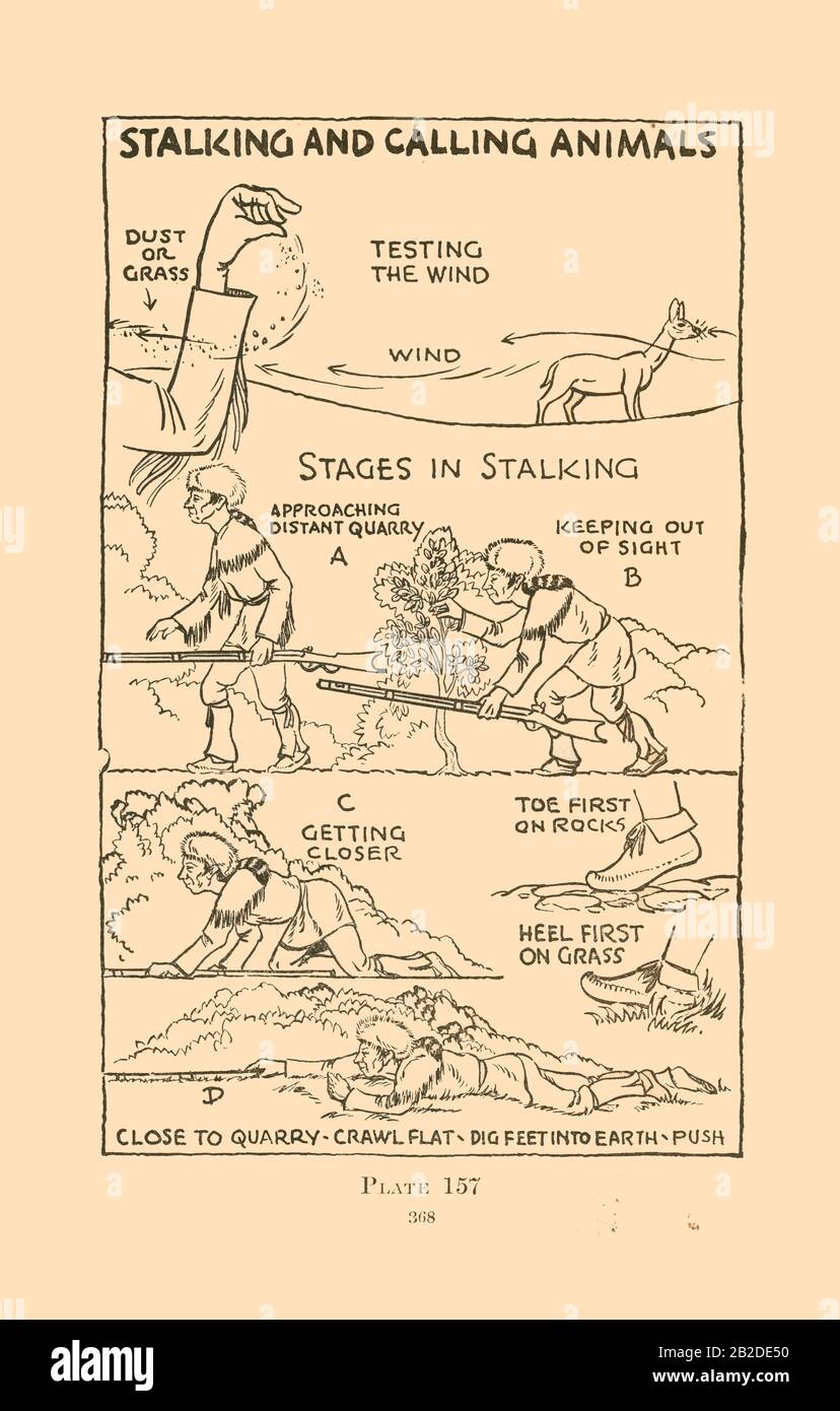 Wind rifle hi-res stock photography and images - Alamy