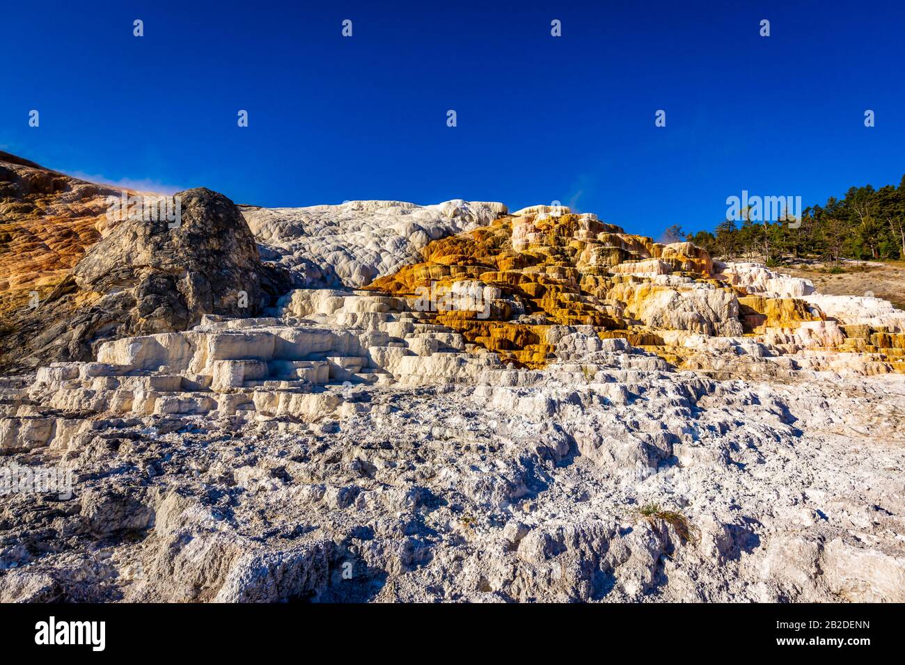 Travertine terraces at Mammoth Hot Springs, Yellowstone National Park ...