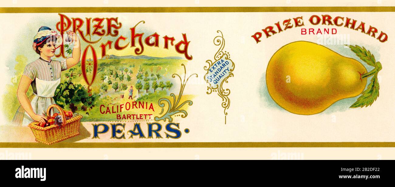 Prize Orchard Brand Pears Stock Photo - Alamy