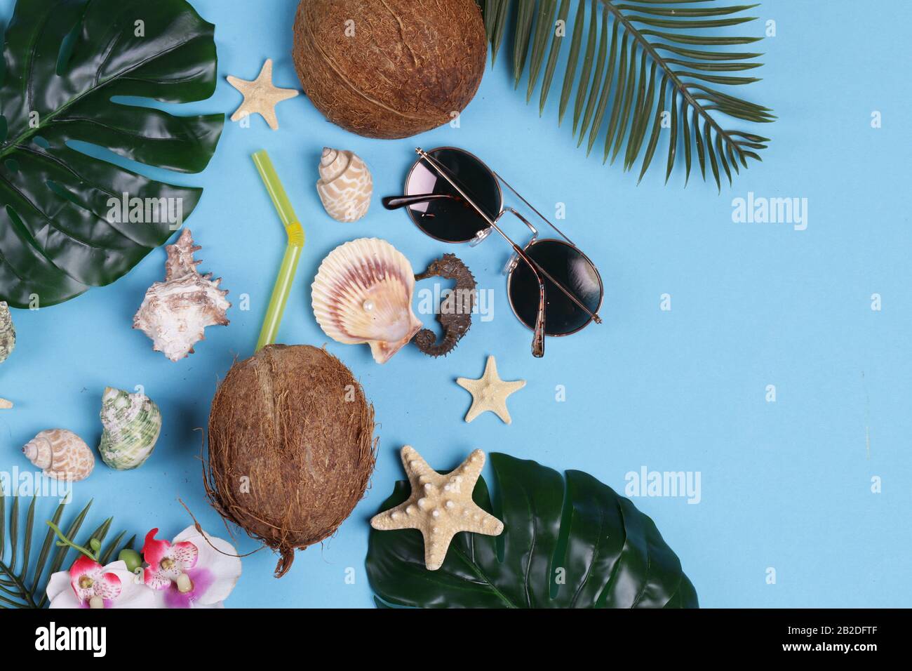 tropical style life with shells and fruits Stock Photo - Alamy