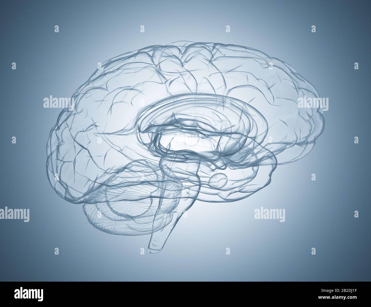 X ray human brain side view Stock Photo - Alamy