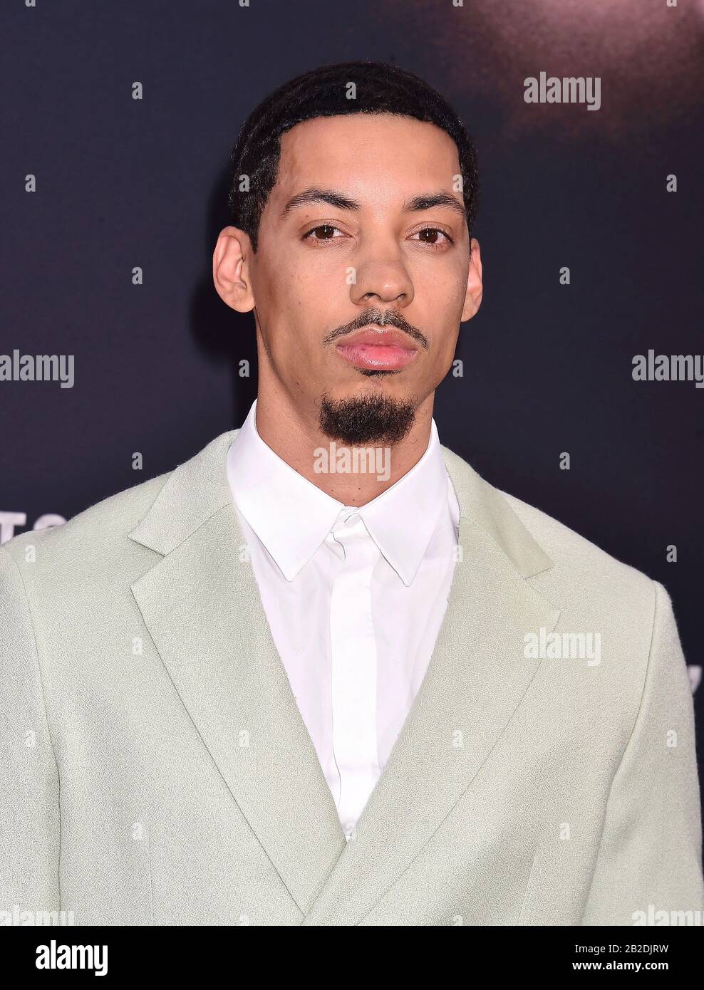 LOS ANGELES, CA - MARCH 01: Melvin Gregg attends the premiere of Warner ...