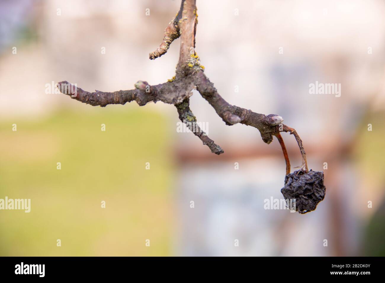 The good the bad and the ugly hi-res stock photography and images - Alamy