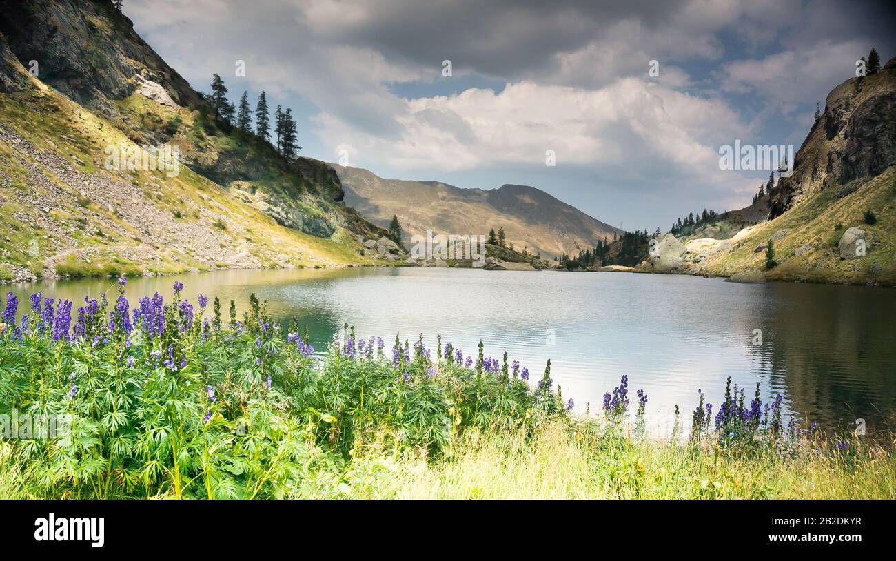 Hiking in summer Alps to blue lake of mountain Stock Photo - Alamy