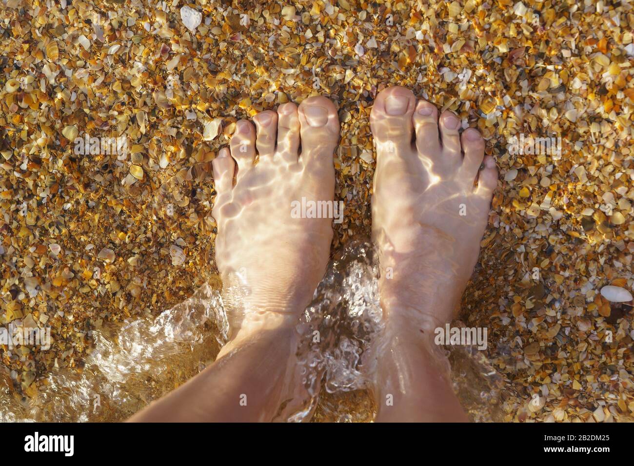 Feet in the crystal clear sea water. The bottom with the shell. The ...