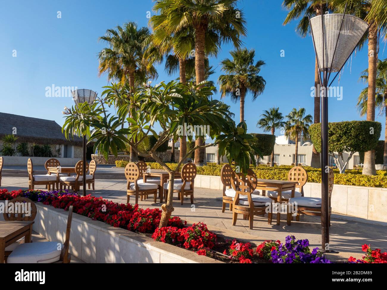 Restaurant and palm trees hi-res stock photography and images - Alamy