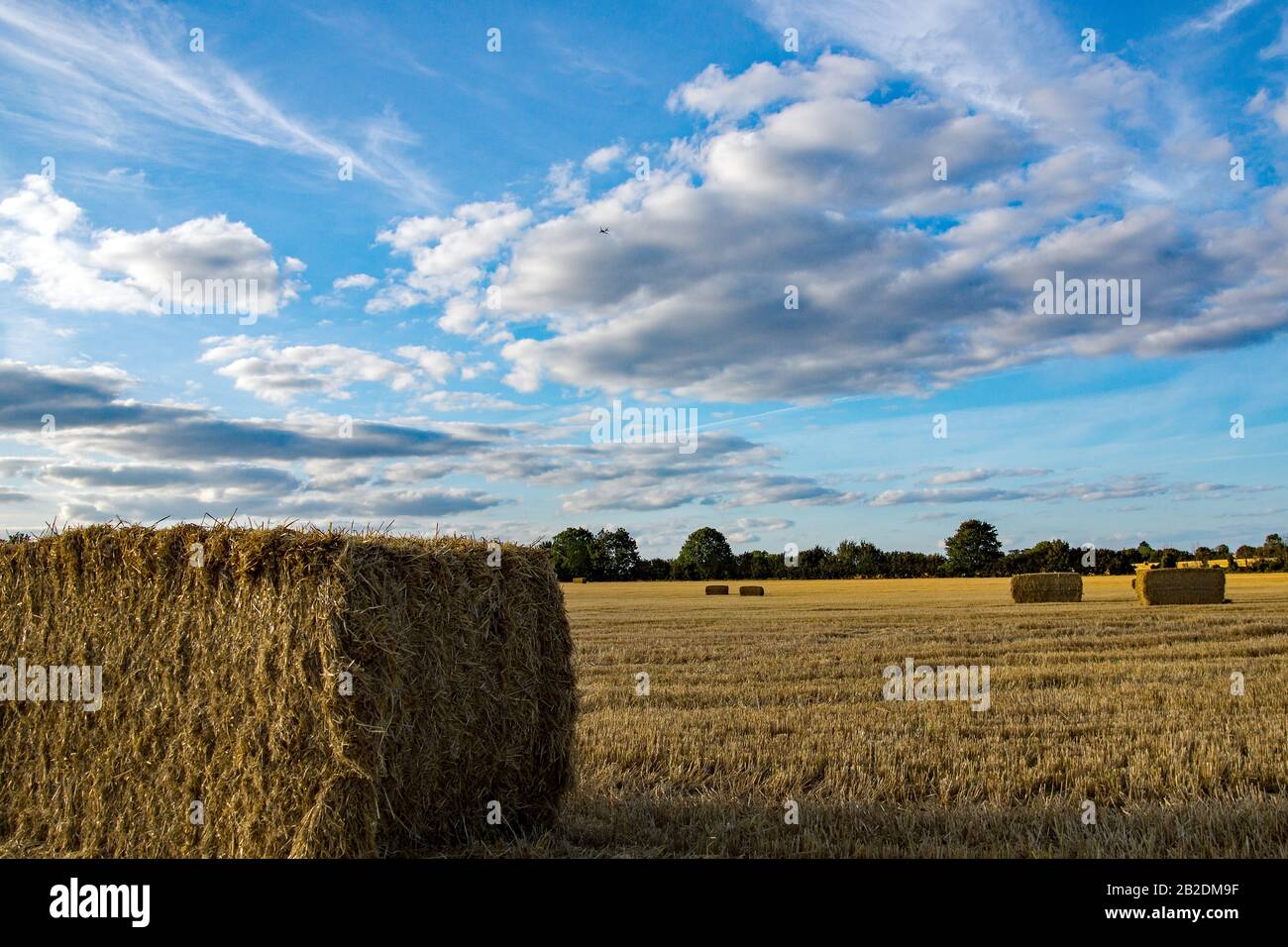 Large bales of Hay just harvested in High Wych, Hertfordshire await ...