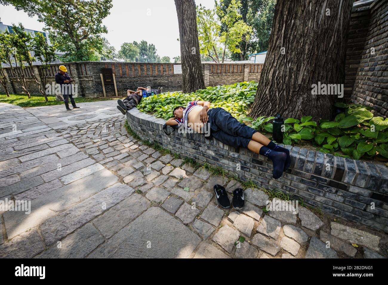 Chinese sleeping worker hi-res stock photography and images - Alamy