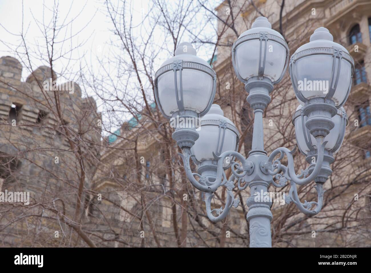 The backdrop is Bush that little light. Magic street lamp close-up with ...