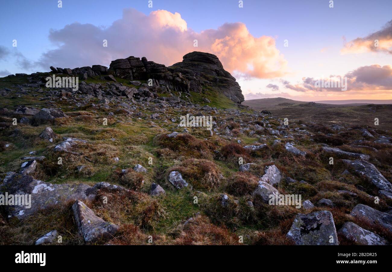 Haytor, Dartmoor National Park at sunset, Devon, UK. Credit: PQ Images ...