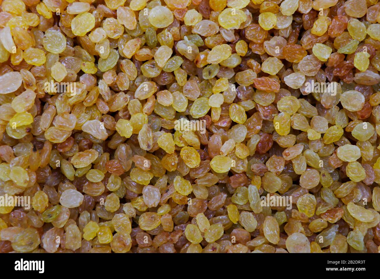 Raisins are beautifully decomposed, yellow is the highest grade ...