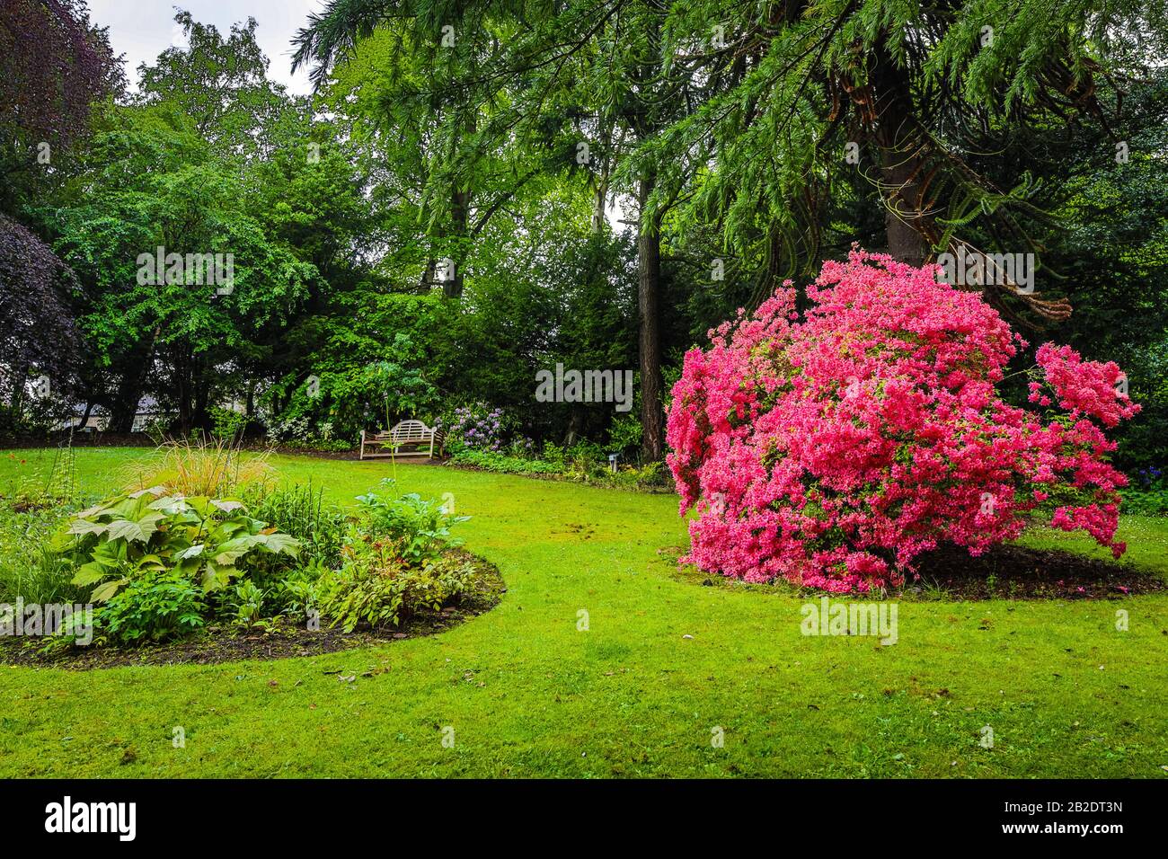 Close up amazing field bushes hi-res stock photography and images - Alamy