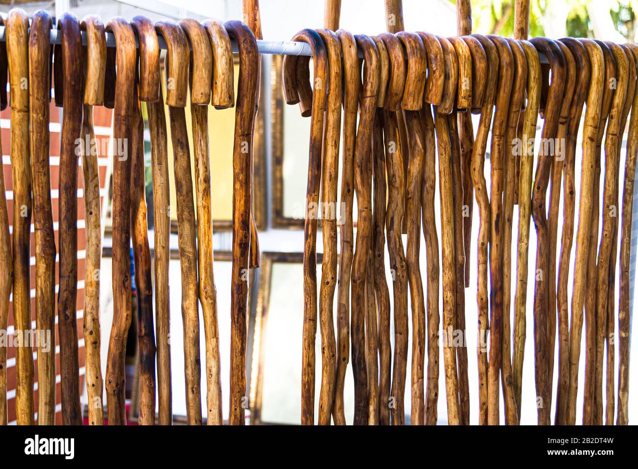 Wooden Walking Staff