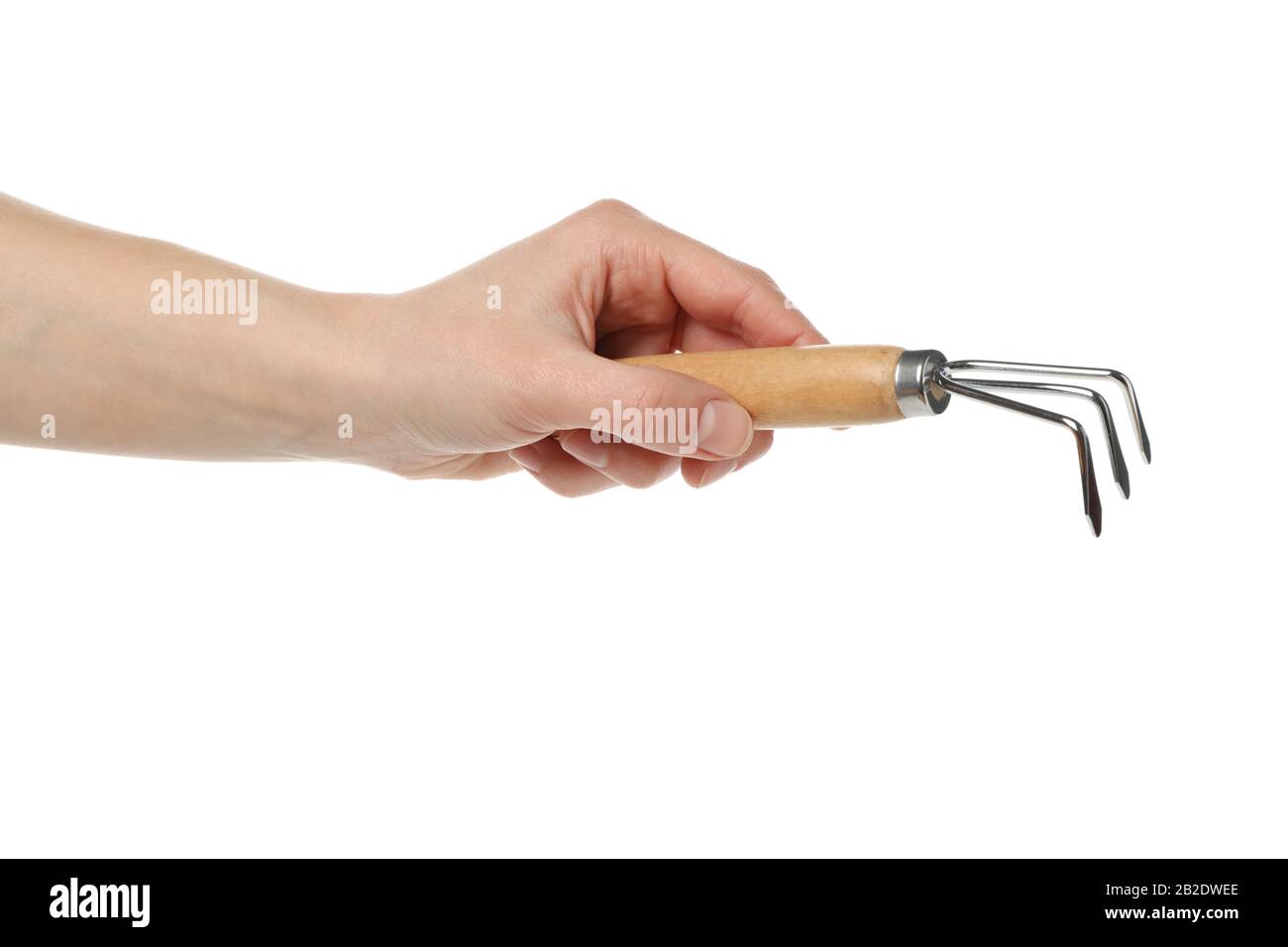 Claw holds hi-res stock photography and images - Alamy