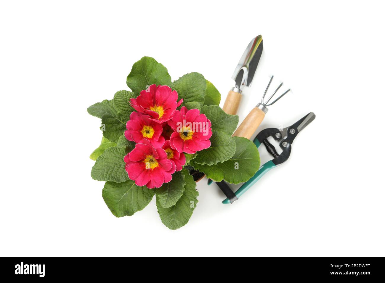 Gardening tools cutout Cut Out Stock Images & Pictures - Alamy