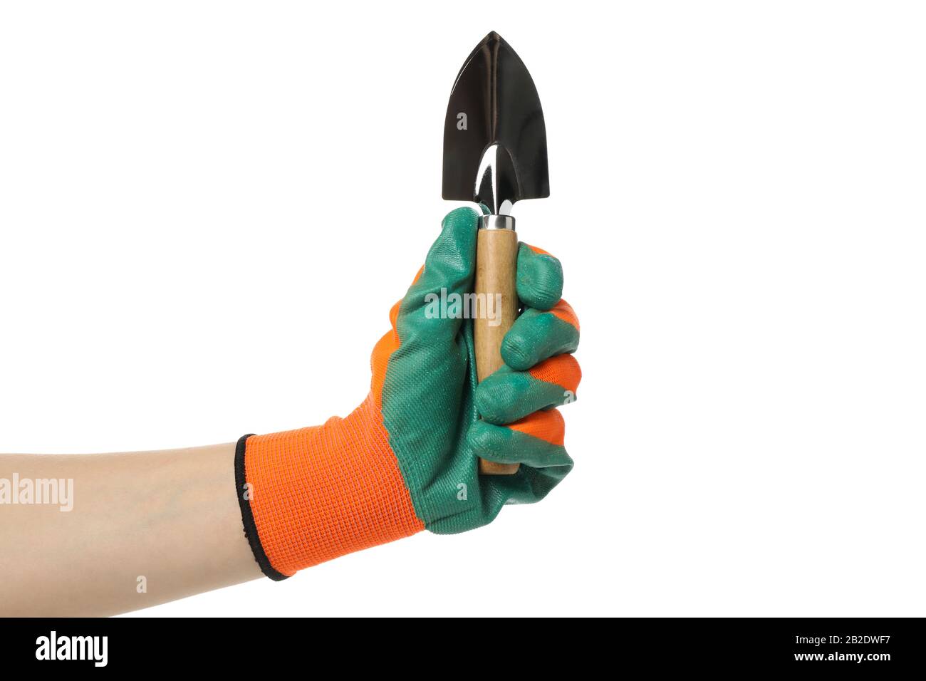 Hand in glove holds small shovel, isolated on white background Stock ...