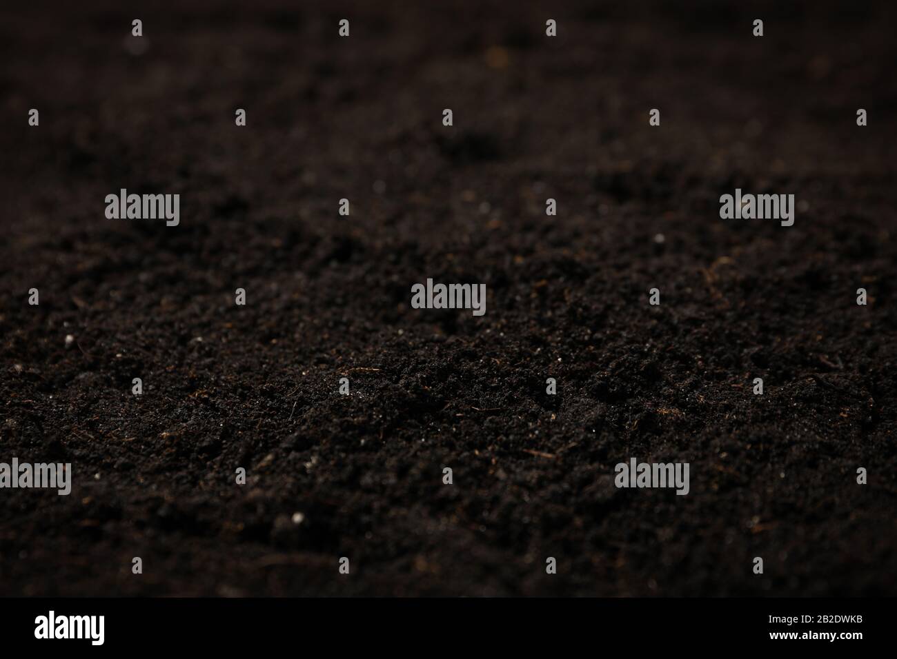 Fertile soil texture background. Agriculture and gardening Stock Photo ...