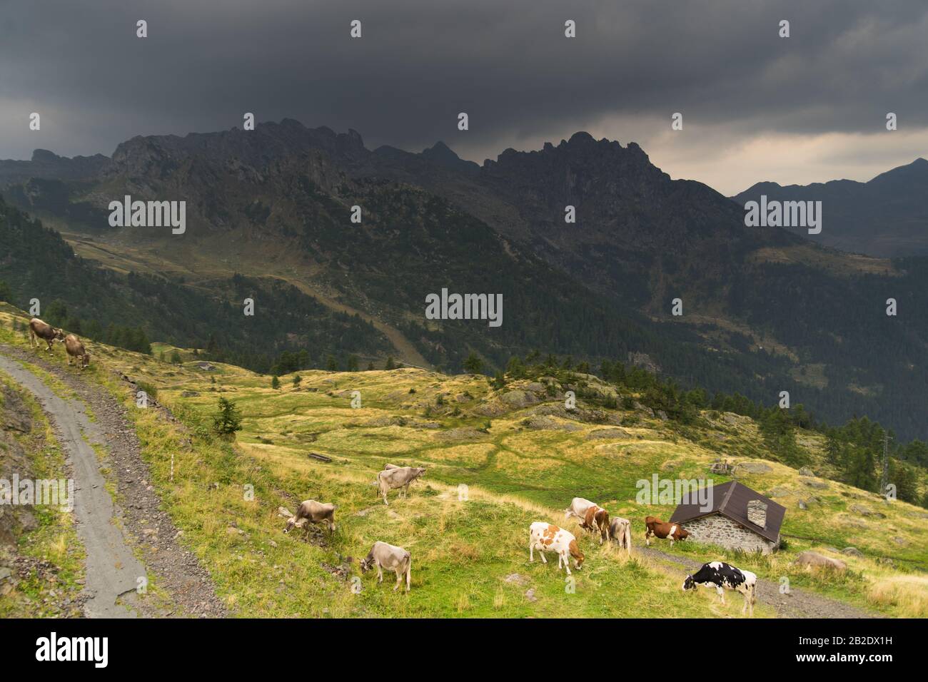 Rain in the alps hi-res stock photography and images - Alamy