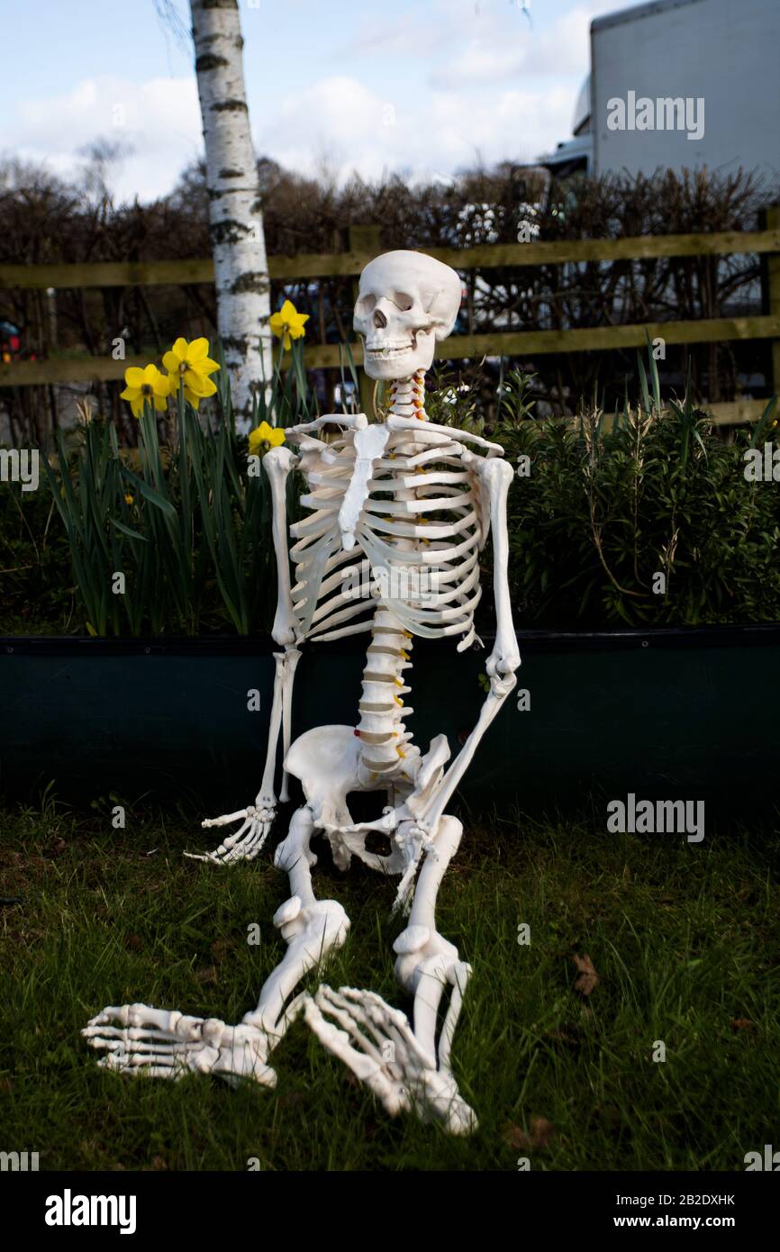 A Skeleton sat by a canoe, Droitwich Spa, Worcester, United Kingdom,02 ...