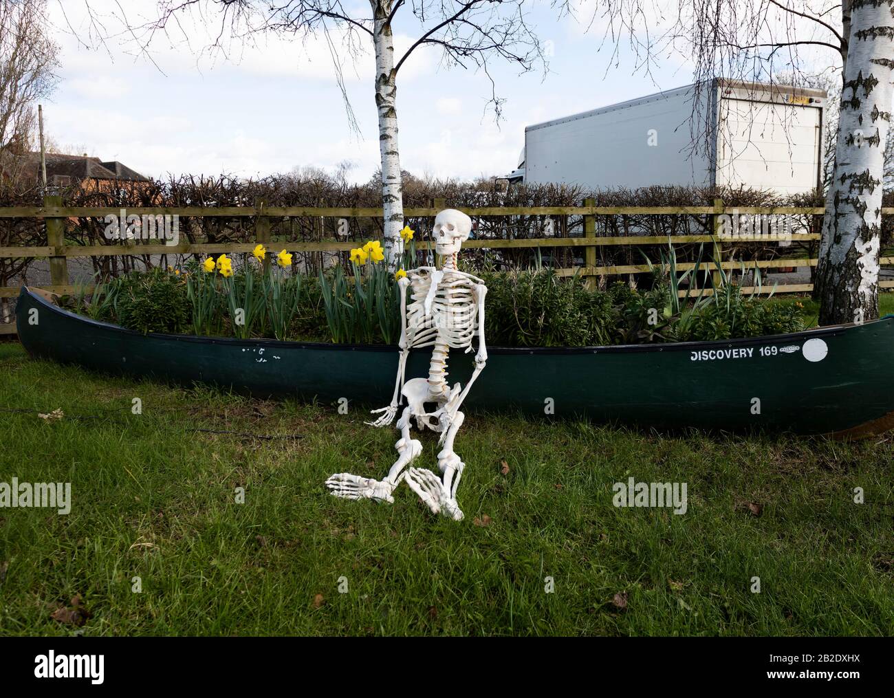 Human skeleton sitting hi-res stock photography and images - Alamy