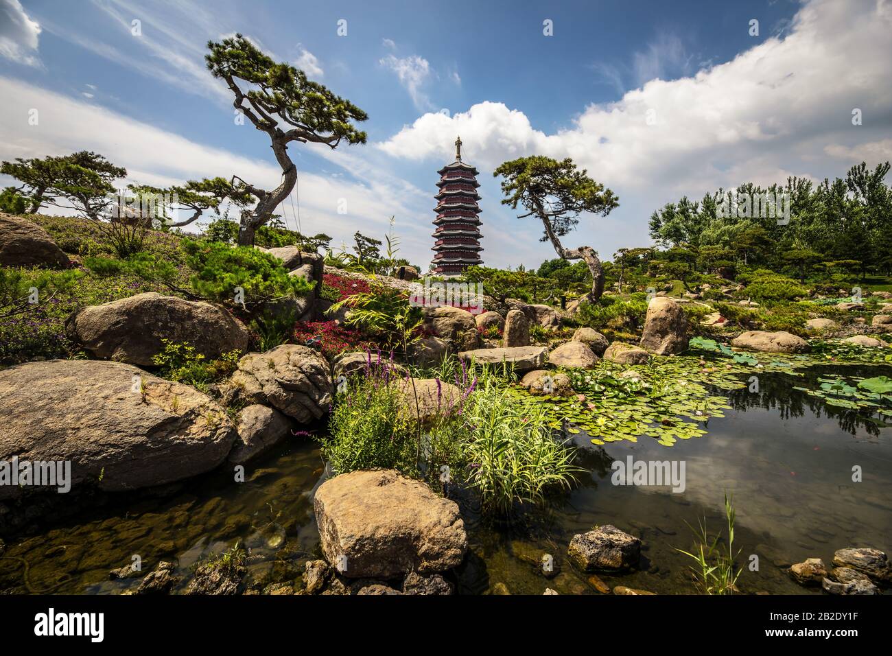 Traditional Chinese City Garden Park close-up photo Stock Photo - Alamy