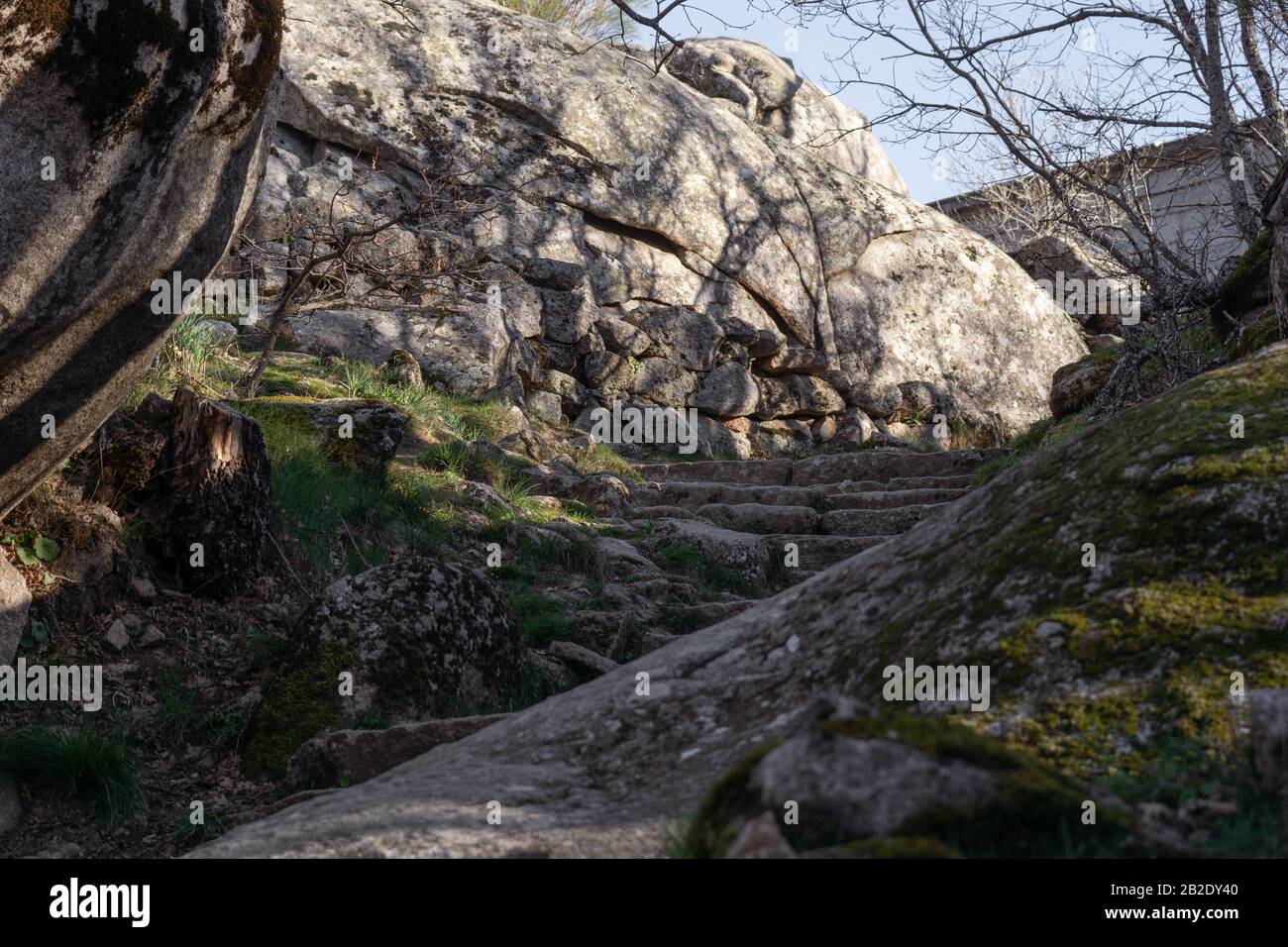 Old stone carved steps in Madrid. Winter forest in Spain Stock Photo ...