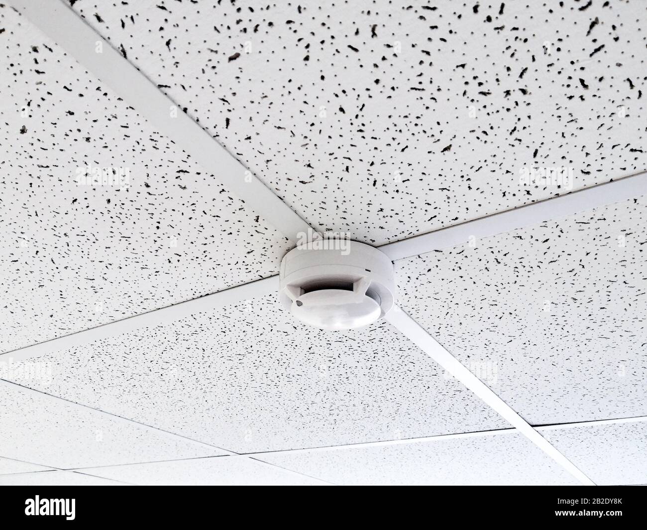 Smoke sensor on the ceiling in the office room. Fire alarm element ...