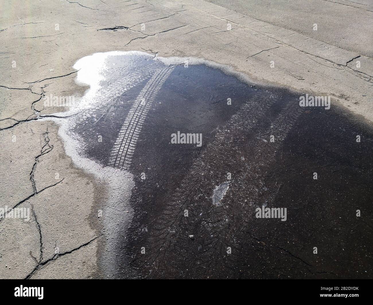 Track from a studded tire on the ice of a frozen puddle on cracked ...