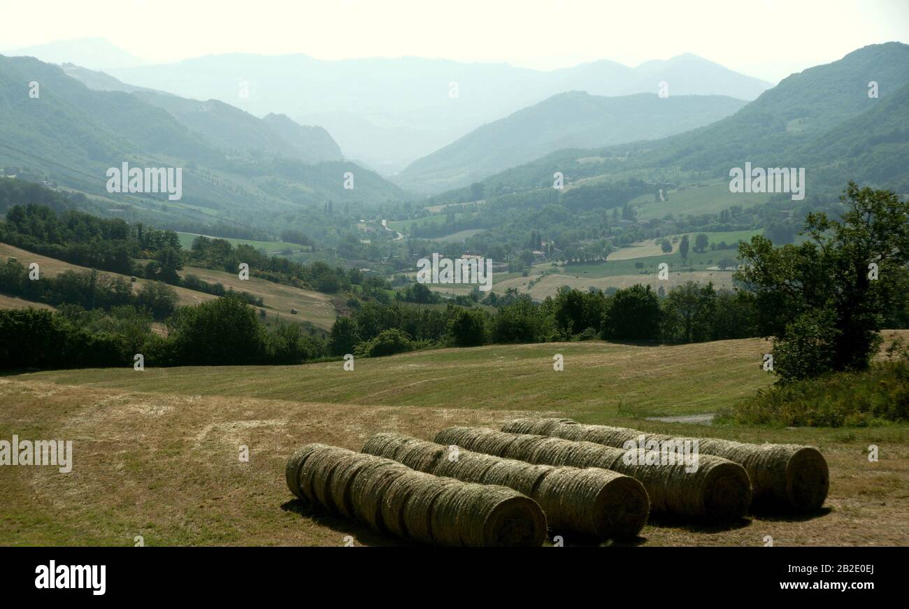 Vacation in rural area of Italy at summer Stock Photo - Alamy