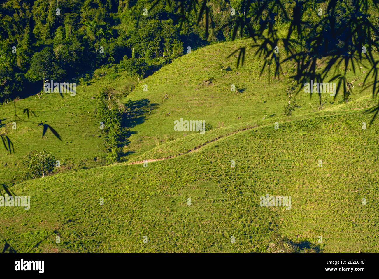 Orocovis puerto rico hi-res stock photography and images - Alamy