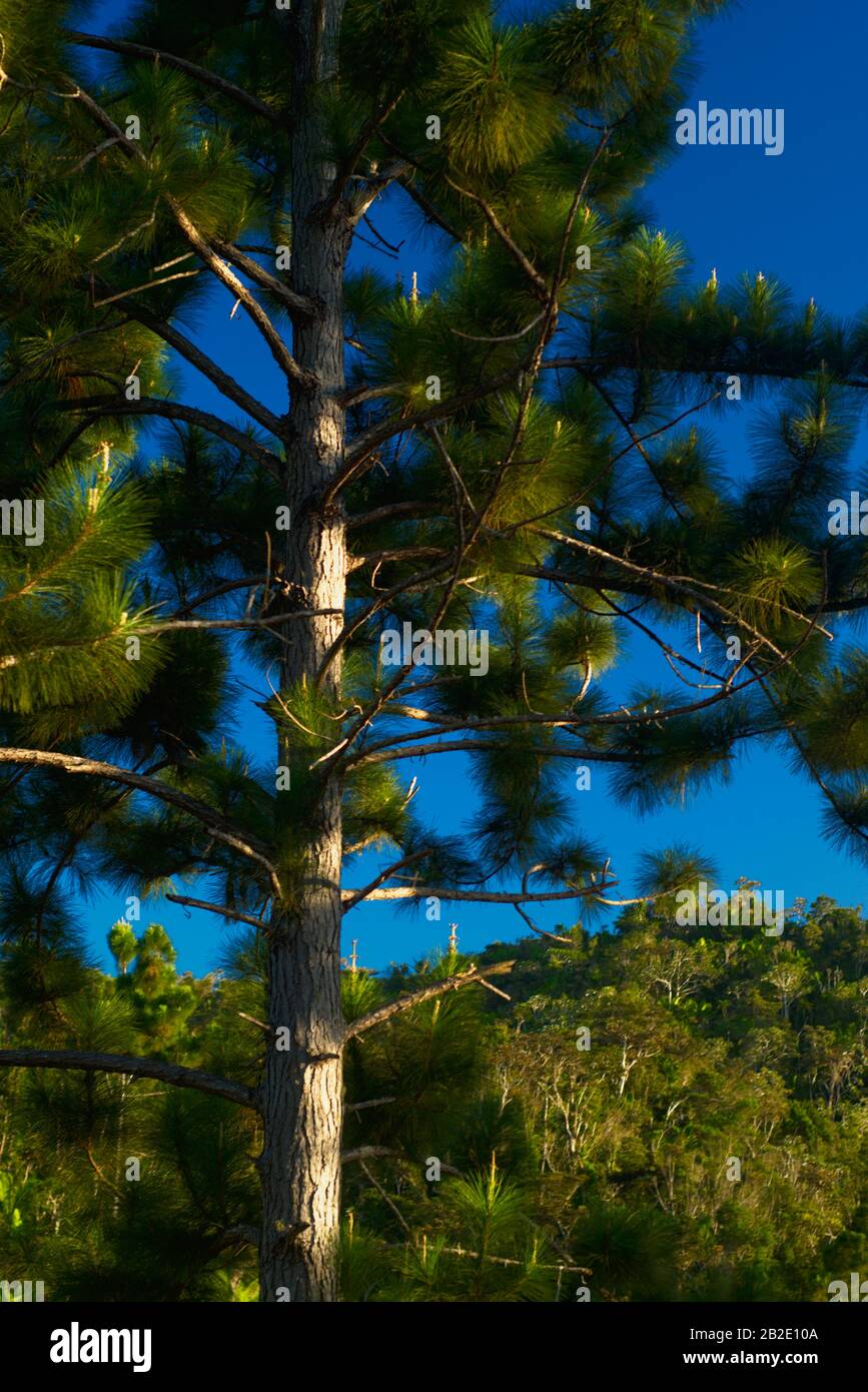 Orocovis puerto rico hi-res stock photography and images - Alamy