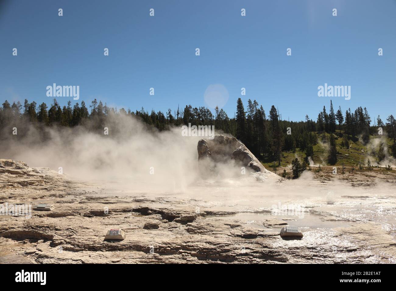 an erupting geyser in yellowstone national park Stock Photo - Alamy
