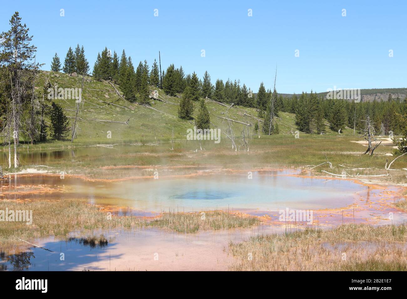 prismatic hot springs among valleys and forests in yellowstone national ...