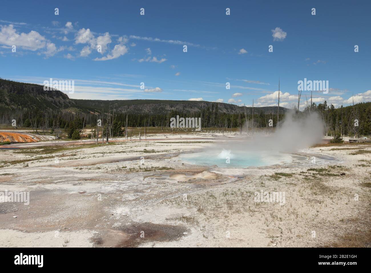 a landscape of the sulfur pool hot springs in yellowstone national park ...