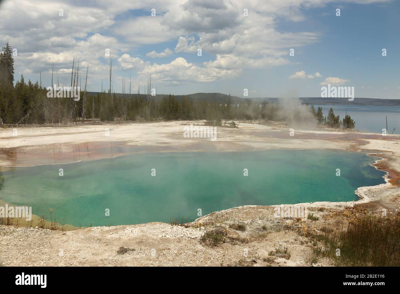 a big blue hot spring in yellowstone national park with steam Stock ...