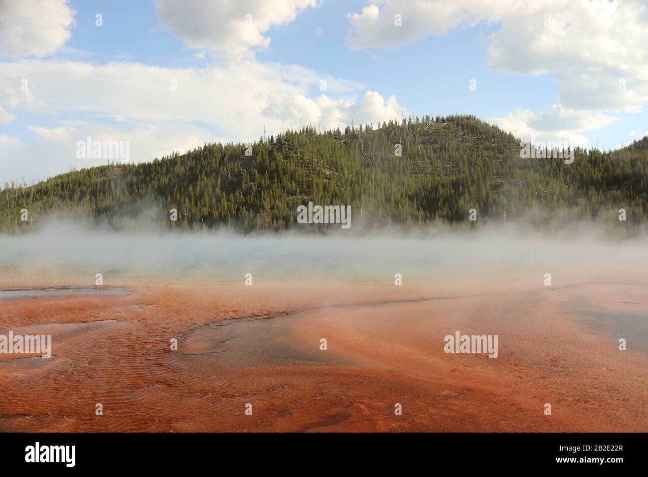 textures and colors caused by bacteria from the grand prismatic spring ...