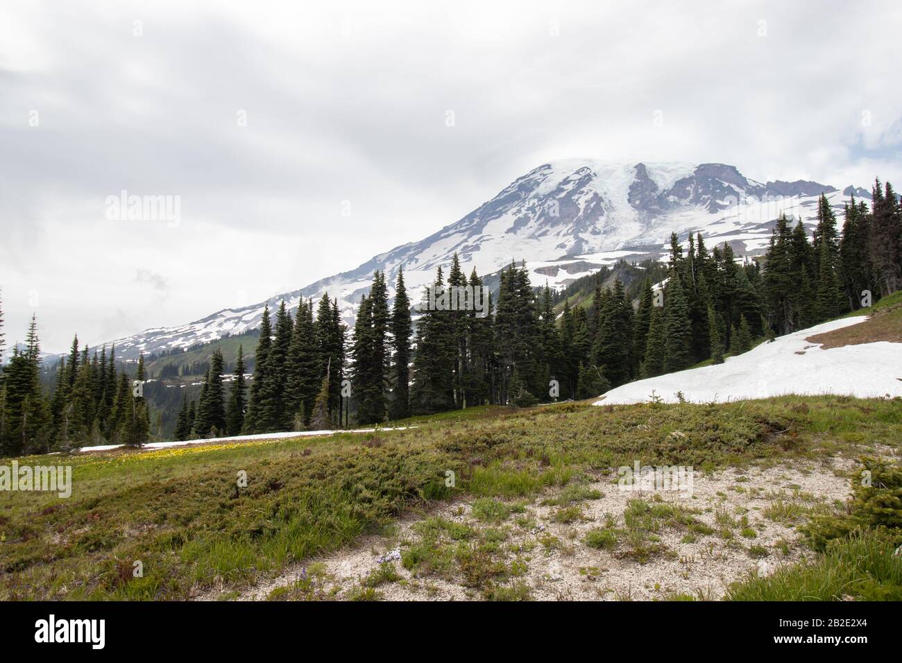 Layers of trees hi-res stock photography and images - Alamy