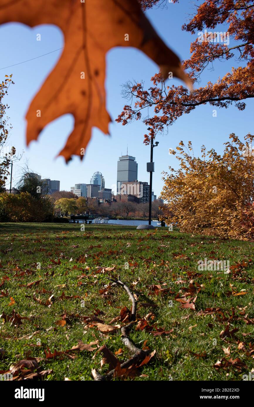 boston in the fall with leaves and foliage Stock Photo - Alamy