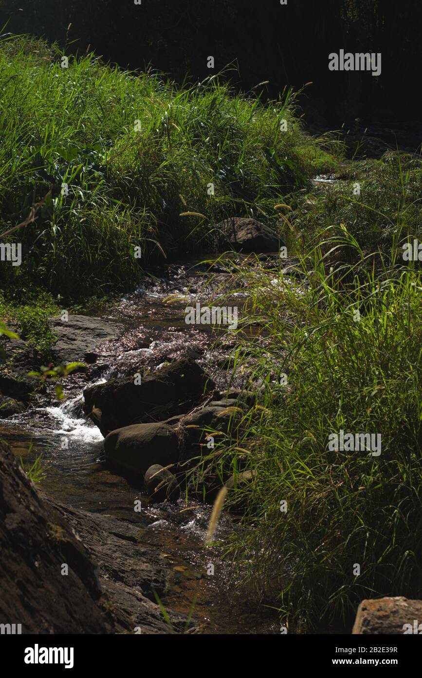 Lago guayo hi-res stock photography and images - Alamy