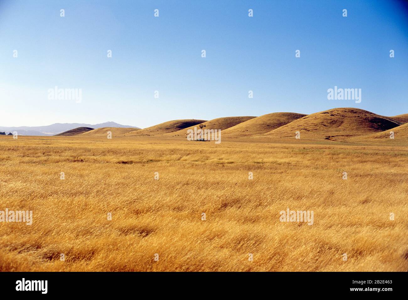 Hayfields hi-res stock photography and images - Alamy