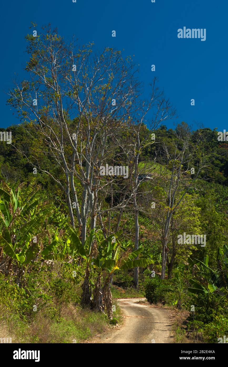 Lago Guayo, Castañer Stock Photo - Alamy