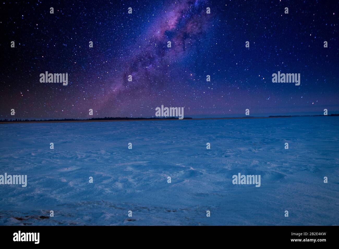 Starry field hi-res stock photography and images - Alamy