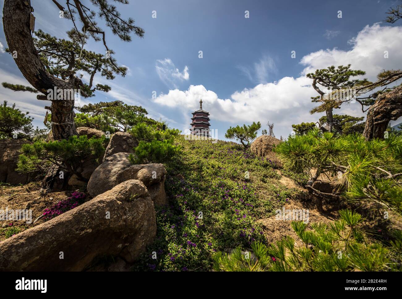 Traditional Chinese City Garden Park close-up photo Stock Photo - Alamy