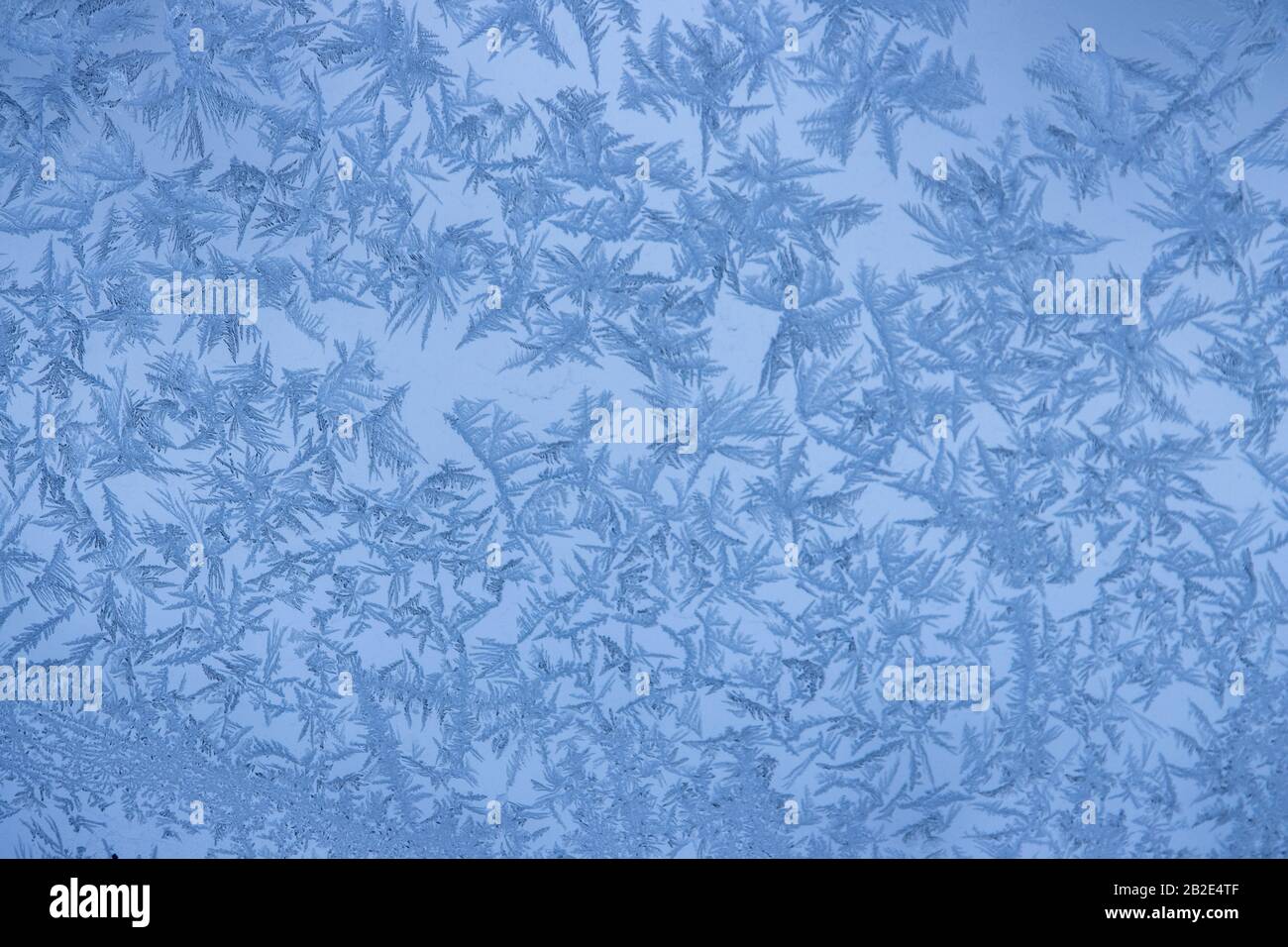 Lacy patterns hi-res stock photography and images - Alamy