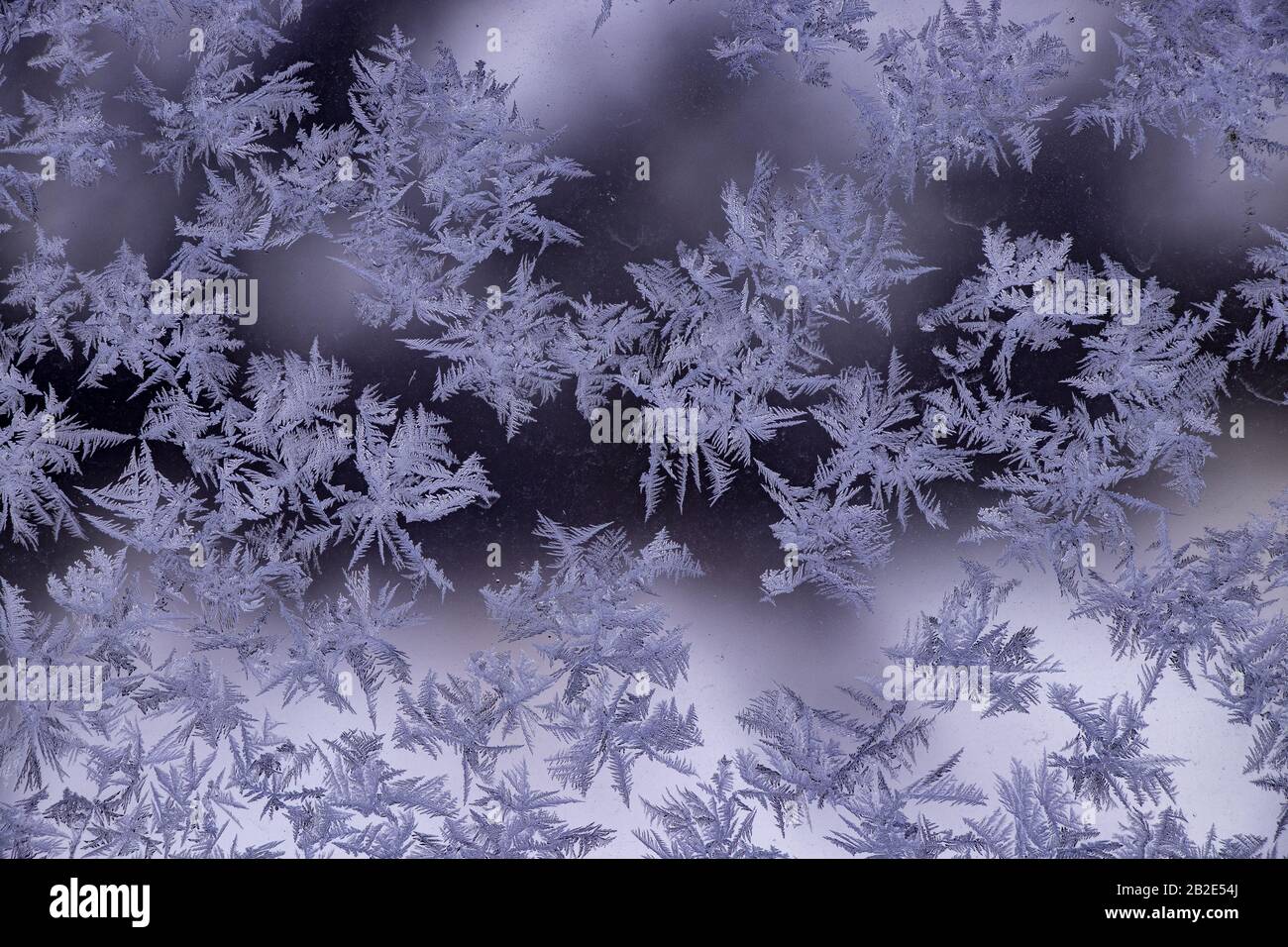 Pretty frost hi-res stock photography and images - Alamy