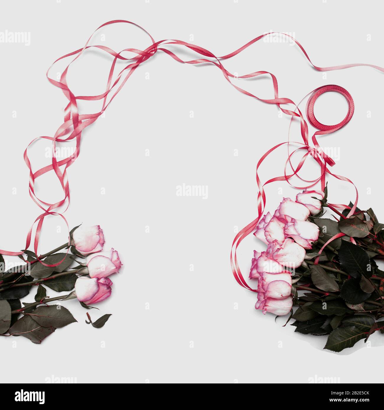 several bouquets of pink roses, scattered pink ribbon on a white square ...