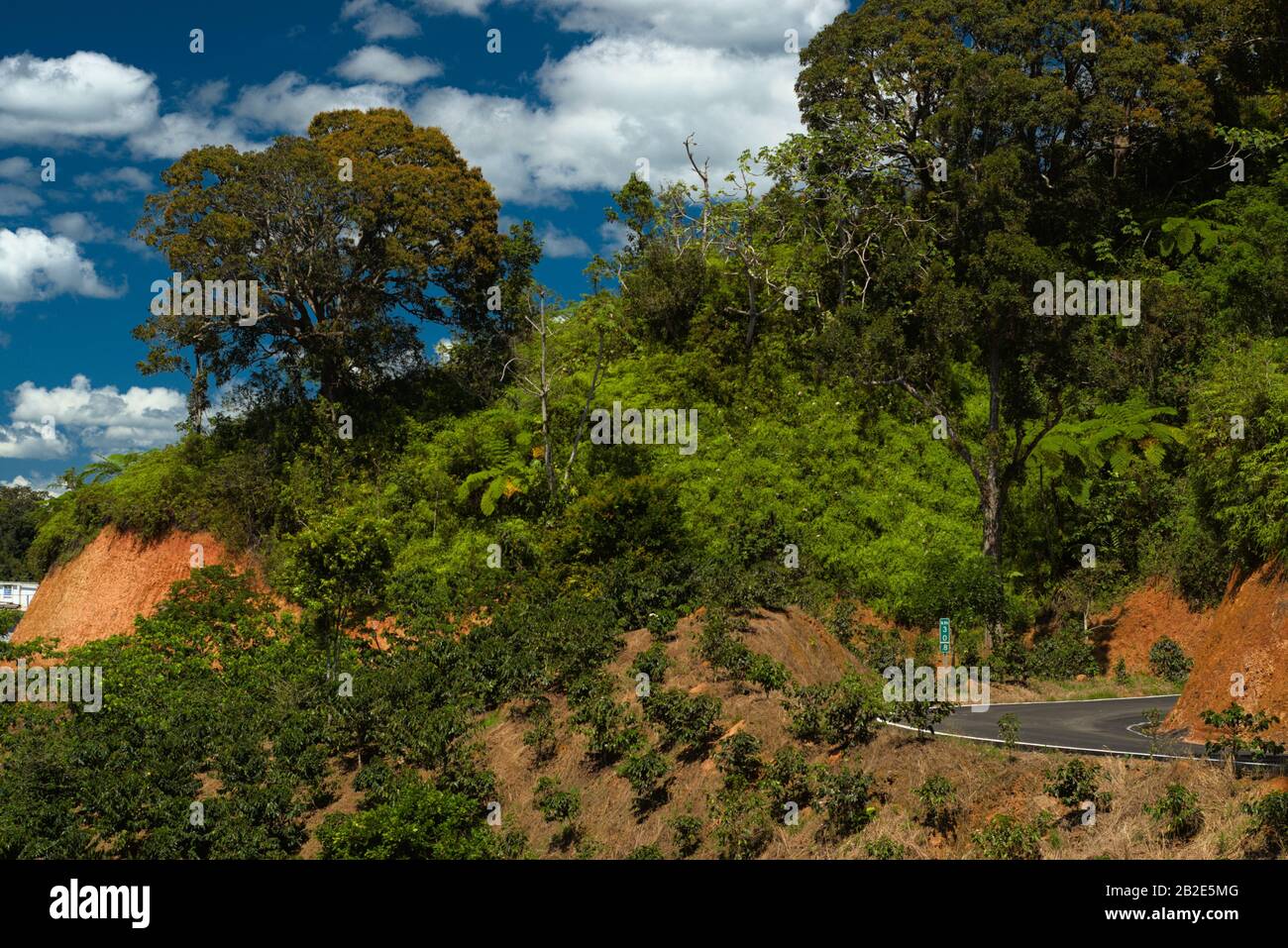 Maricao puerto rico hi-res stock photography and images - Alamy