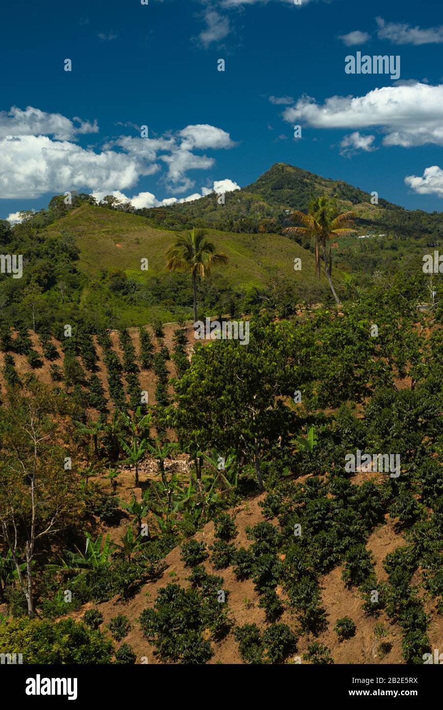 Maricao puerto rico hi-res stock photography and images - Alamy