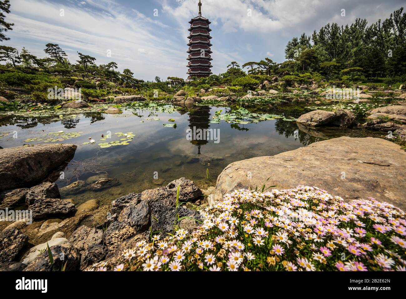 Traditional Chinese City Garden Park close-up photo Stock Photo - Alamy
