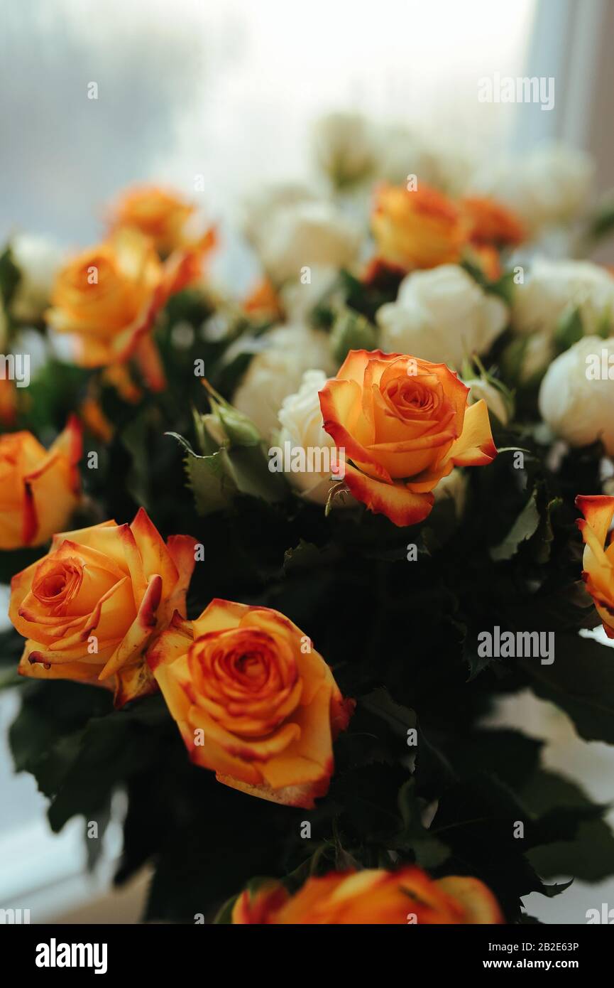 multi-colored lush bouquet of roses from orange and white roses Stock ...